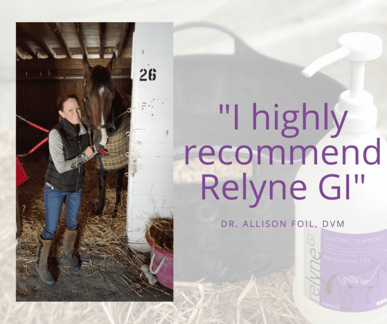 Equine Supplements – Merlin Vet UK