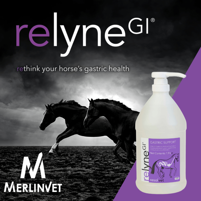 Merlin Vet News – Merlin Vet UK