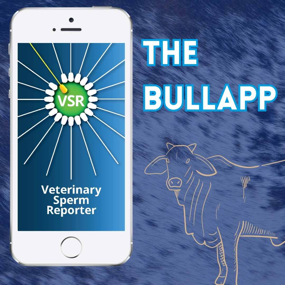 Merlin Vet News – Merlin Vet UK