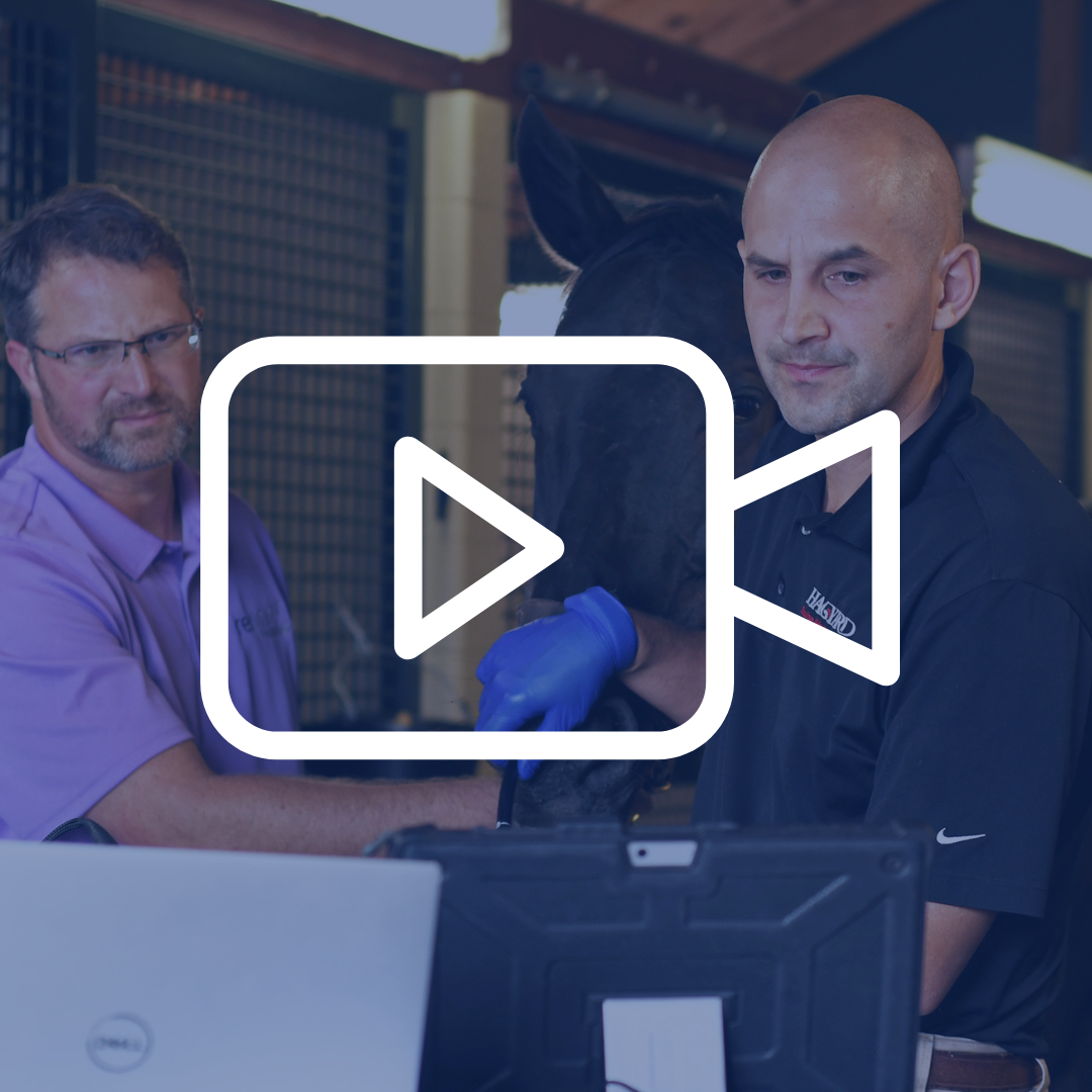 Merlin Vet News – Merlin Vet UK