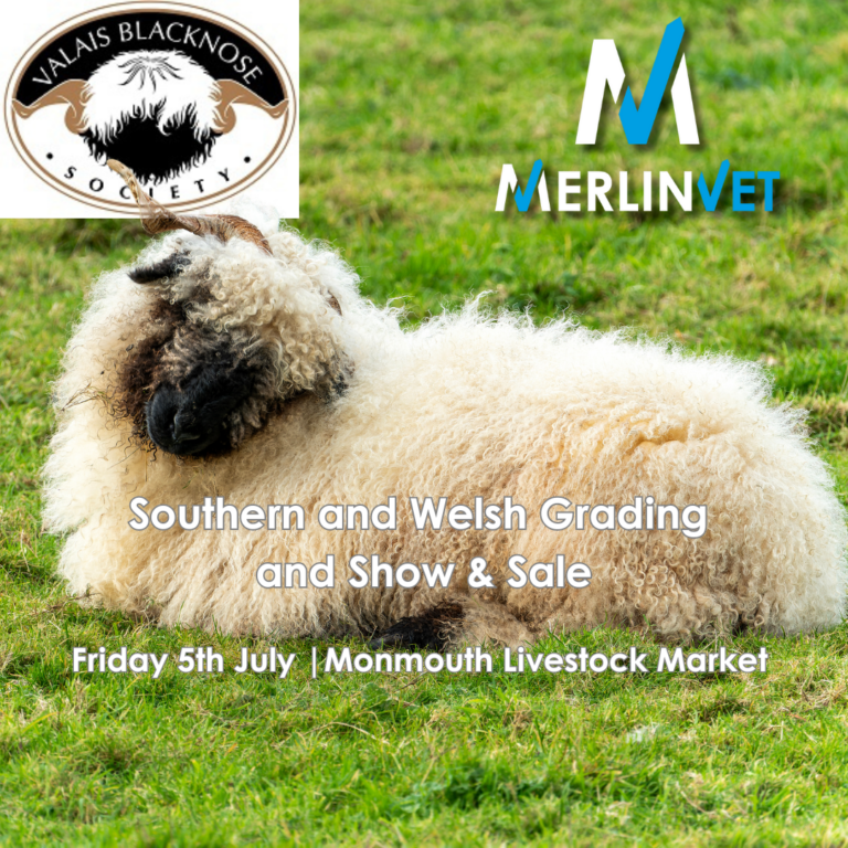 Merlin Vet News – Merlin Vet UK
