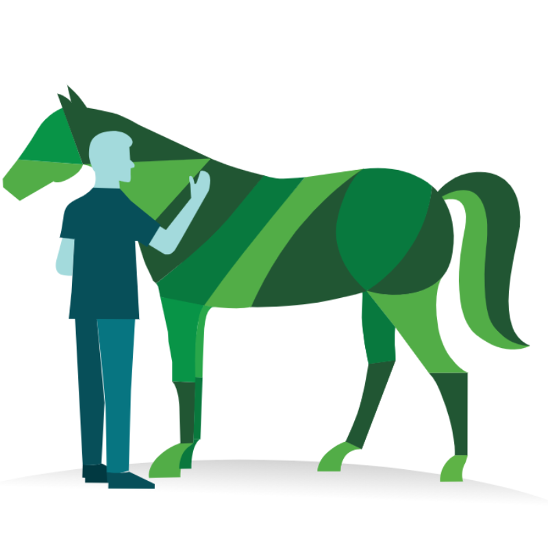 SideKick – Merlin Vet UK