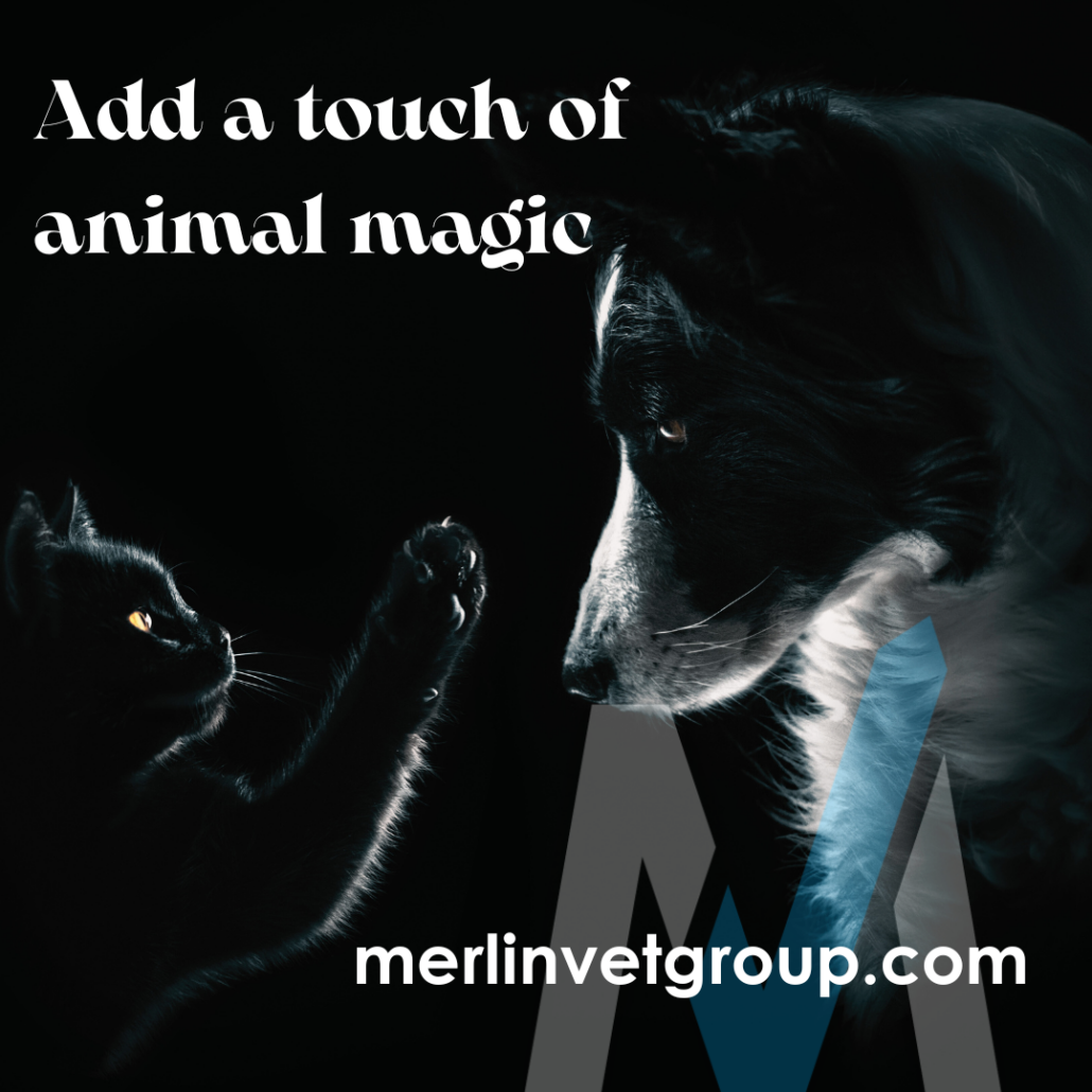 Our New MerlinVet Group Website – Merlin Vet UK