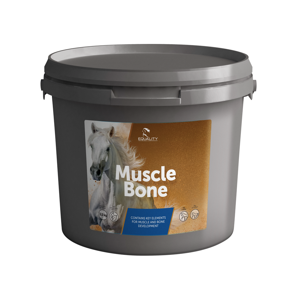 Muscle Bone – Merlin Vet UK
